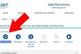 Driving Licence Codes List | N332.es - Driving In Spain