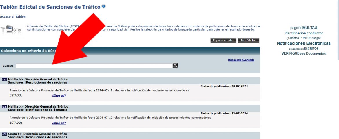 How to Check if you Have a Traffic Fine Without Having a Digital ...